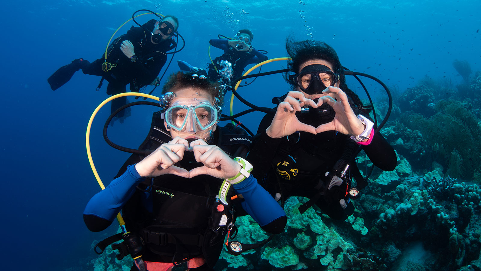Let’s Go Diving! | Dive Friends Bonaire