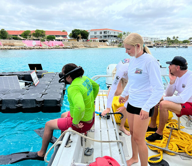 Roffa Reefs | Dive Friends Bonaire