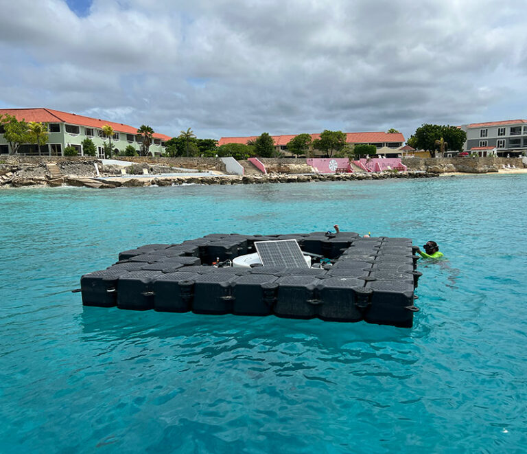 Roffa Reefs | Dive Friends Bonaire