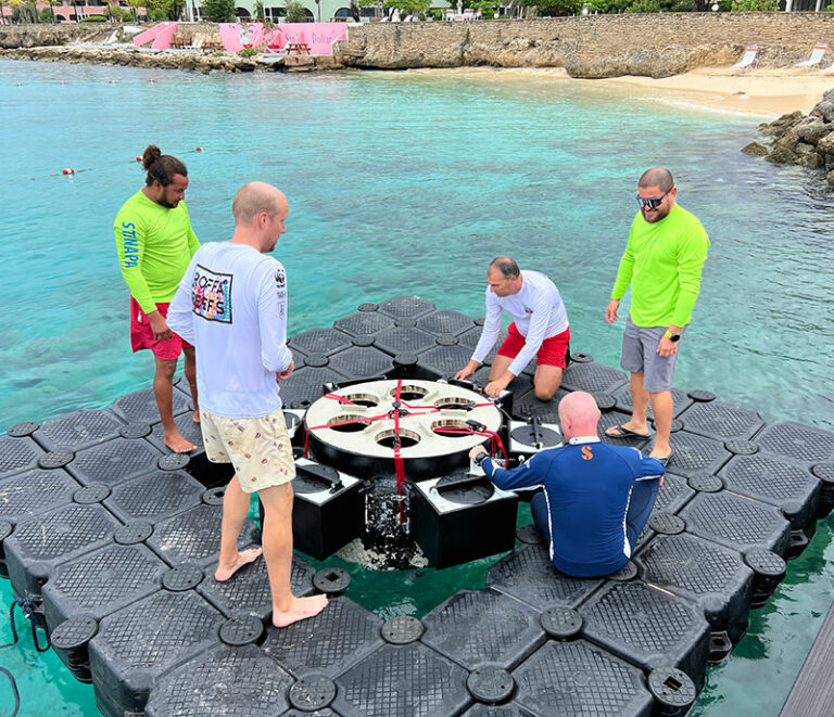 Roffa Reefs | Dive Friends Bonaire
