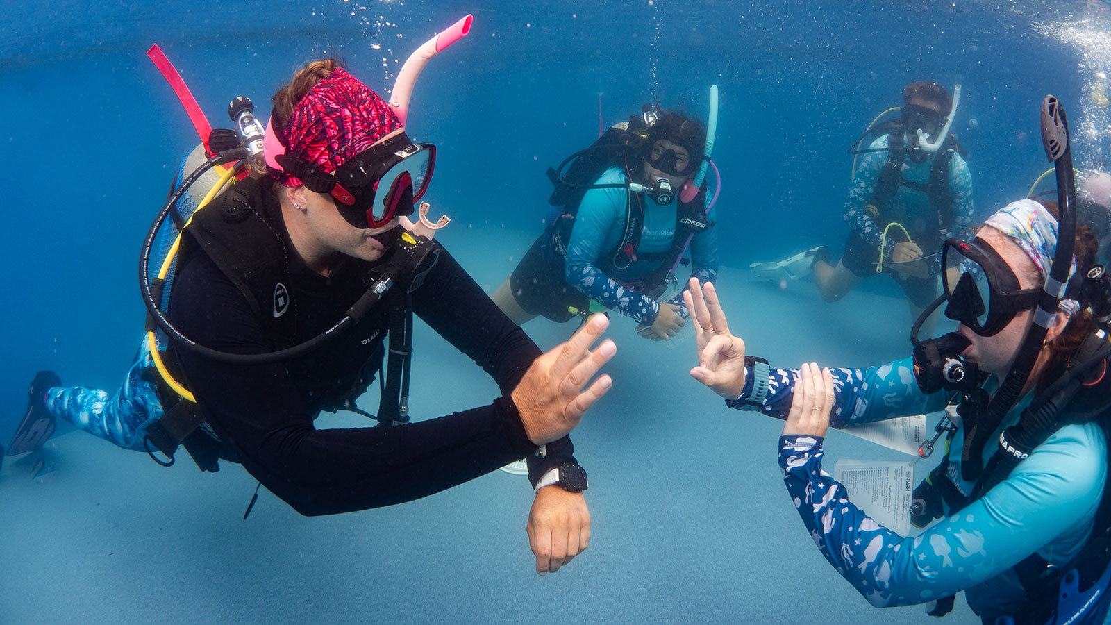 Instructor Development Course (IDC) | Dive Friends Bonaire