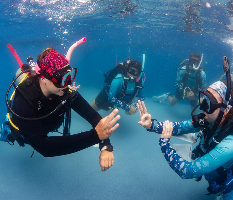 Instructor Development Course (IDC) | Dive Friends Bonaire