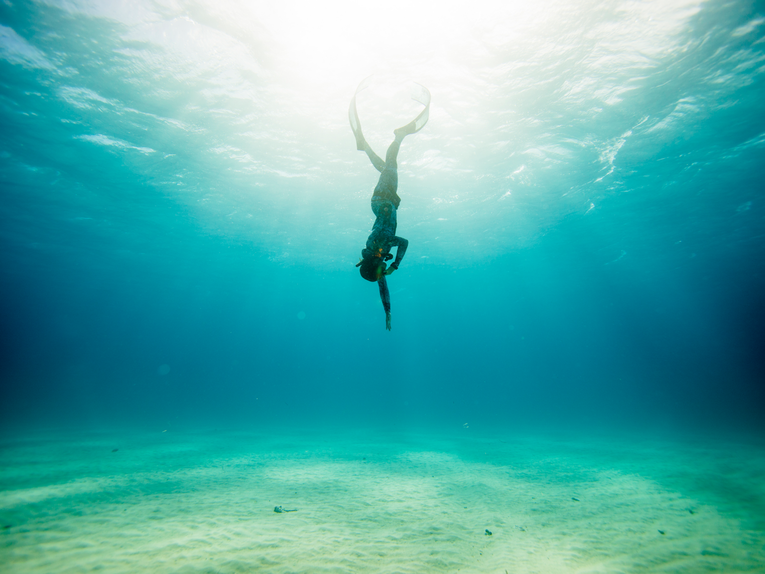 Freediving | Dive Friends Bonaire